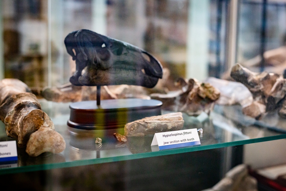Discover Bexhill Museum - Visit 1066 Country