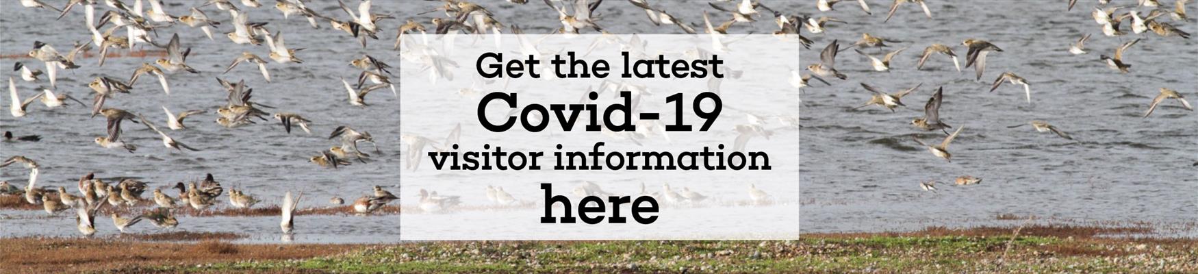 Things to do - Visit 1066 Country