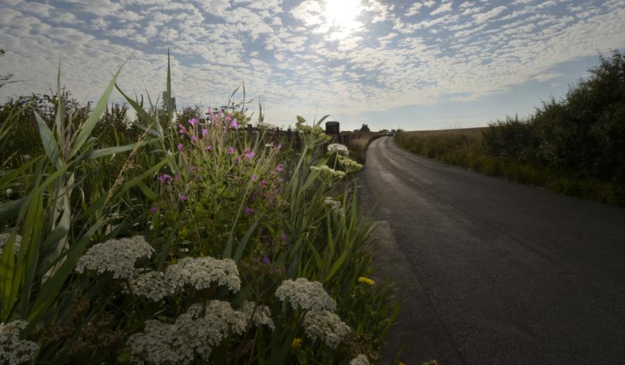 1066 Country Walk - Visit 1066 Country
