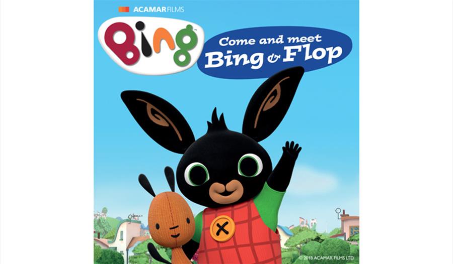 Bing and Flop - Visit 1066 Country